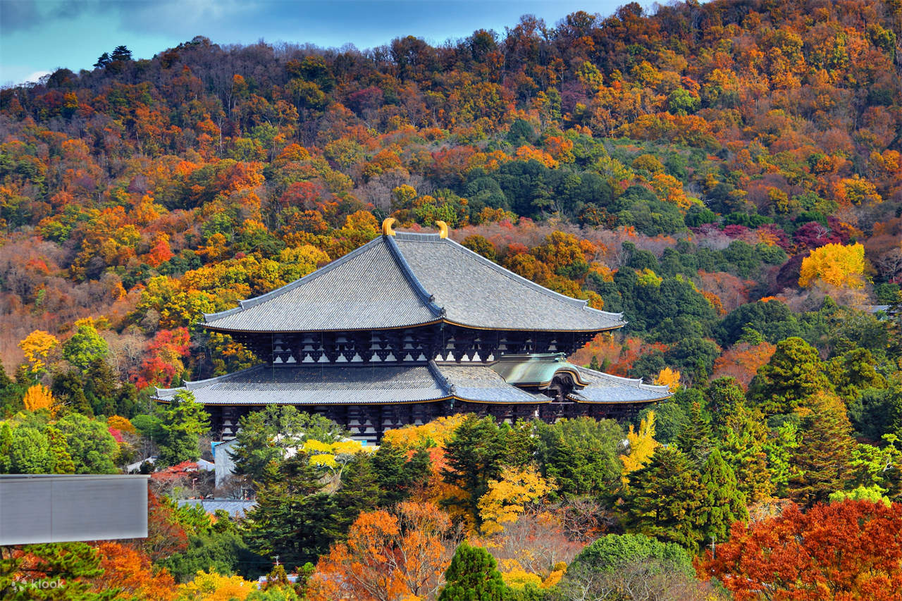 Ancient Capital Cultural Tour: Nara Todaiji Temple, the world's largest wooden building + Kyoto ...